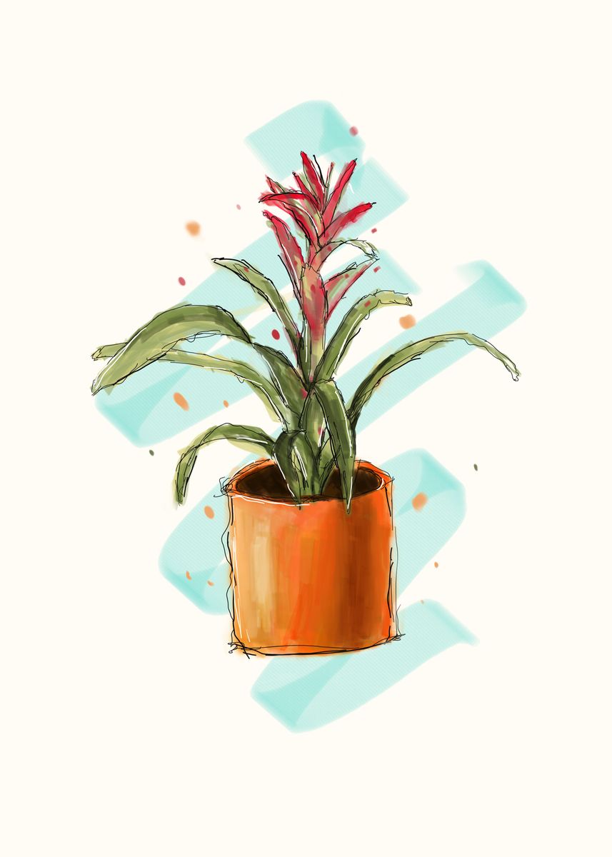 'Bromeliad sketch art' Poster, picture, metal print, paint by M Art ...