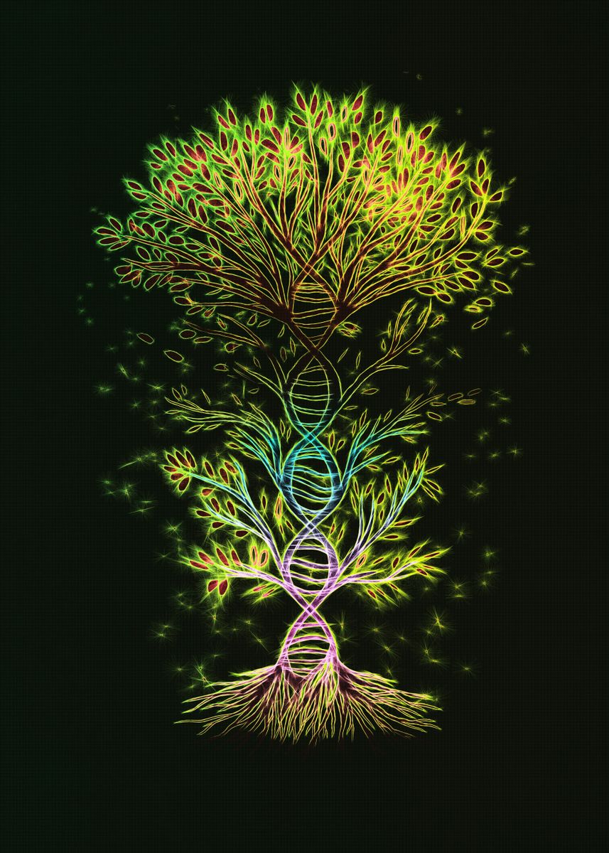 'DNA Tree of Life' Poster, picture, metal print, paint by Reinhard ...