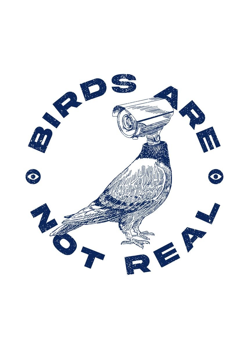 'Birds Are Not Real' Poster, picture, metal print, paint by sachpica ...