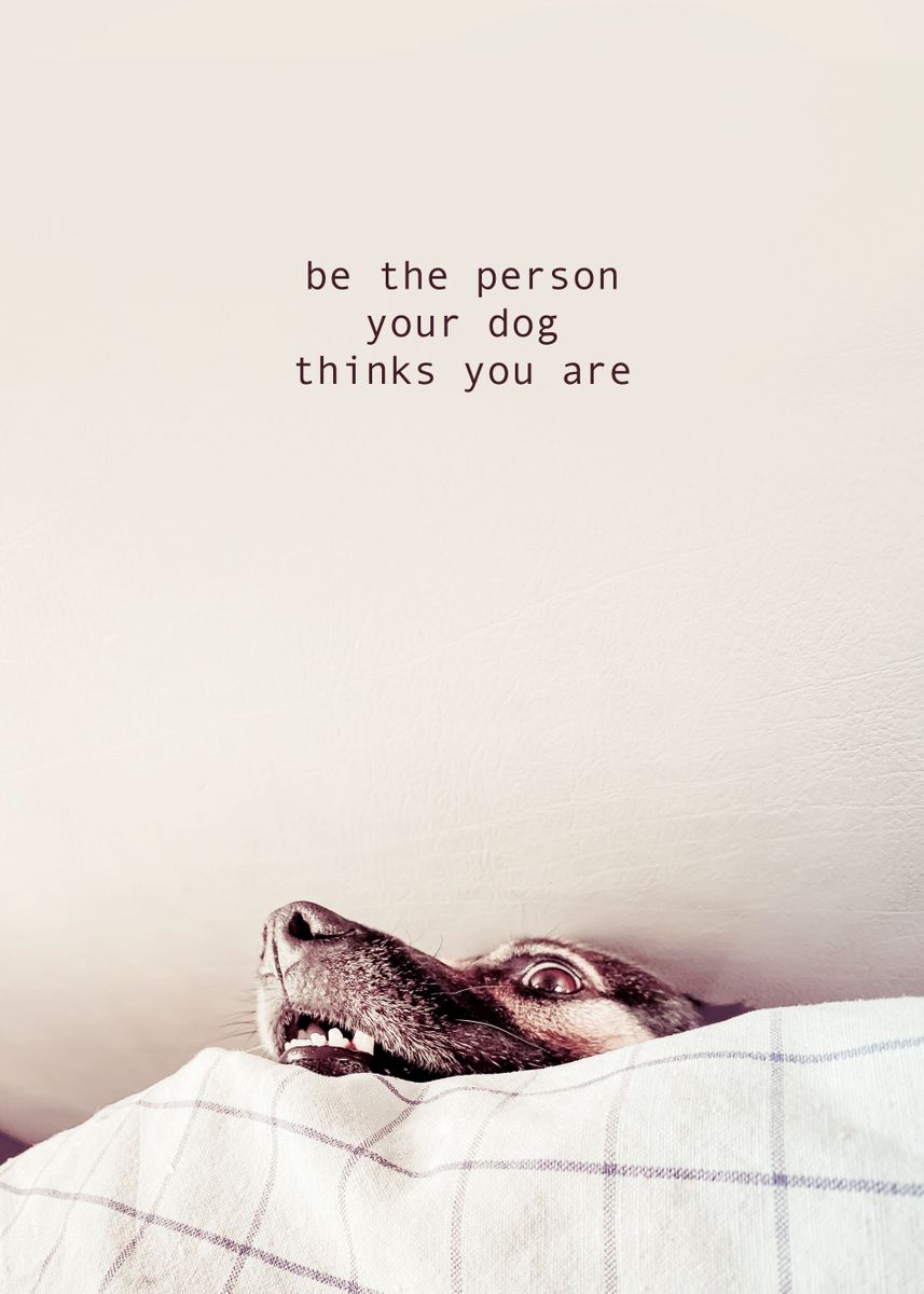 'Be The Person ur Dog Think' Poster, picture, metal print, paint by ...