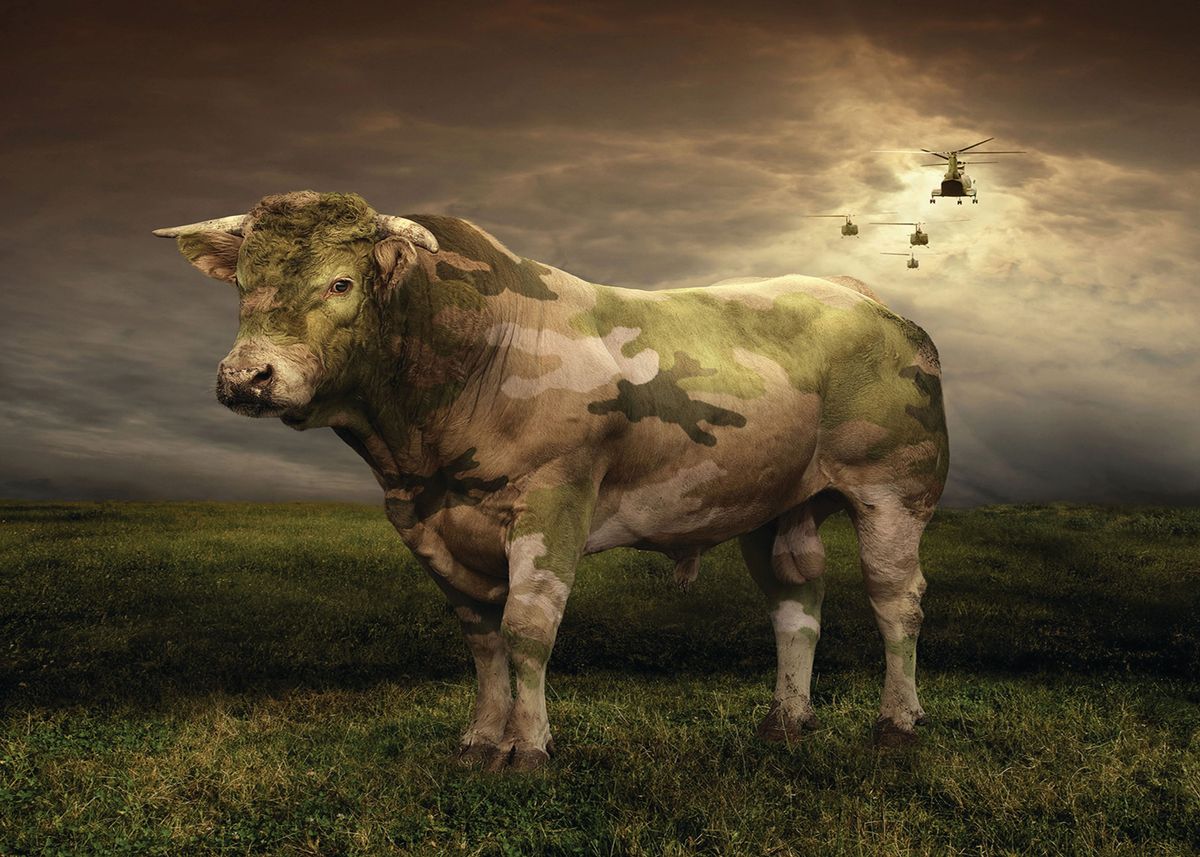 'Military Cow' Poster by George | Displate