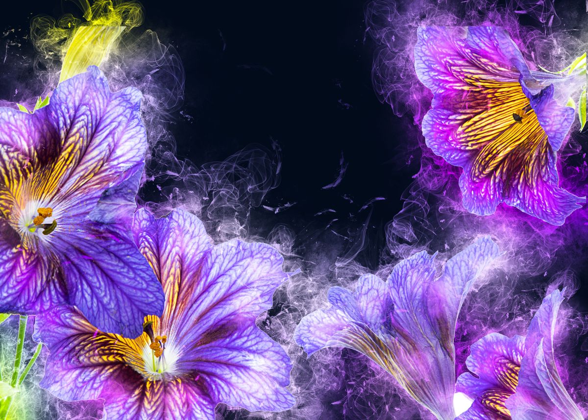 'lily purple flower' Poster by mystery box | Displate