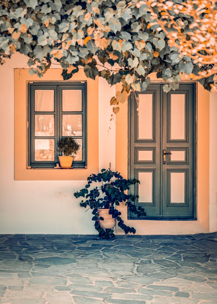 'Window and door' Poster by anettastar | Displate