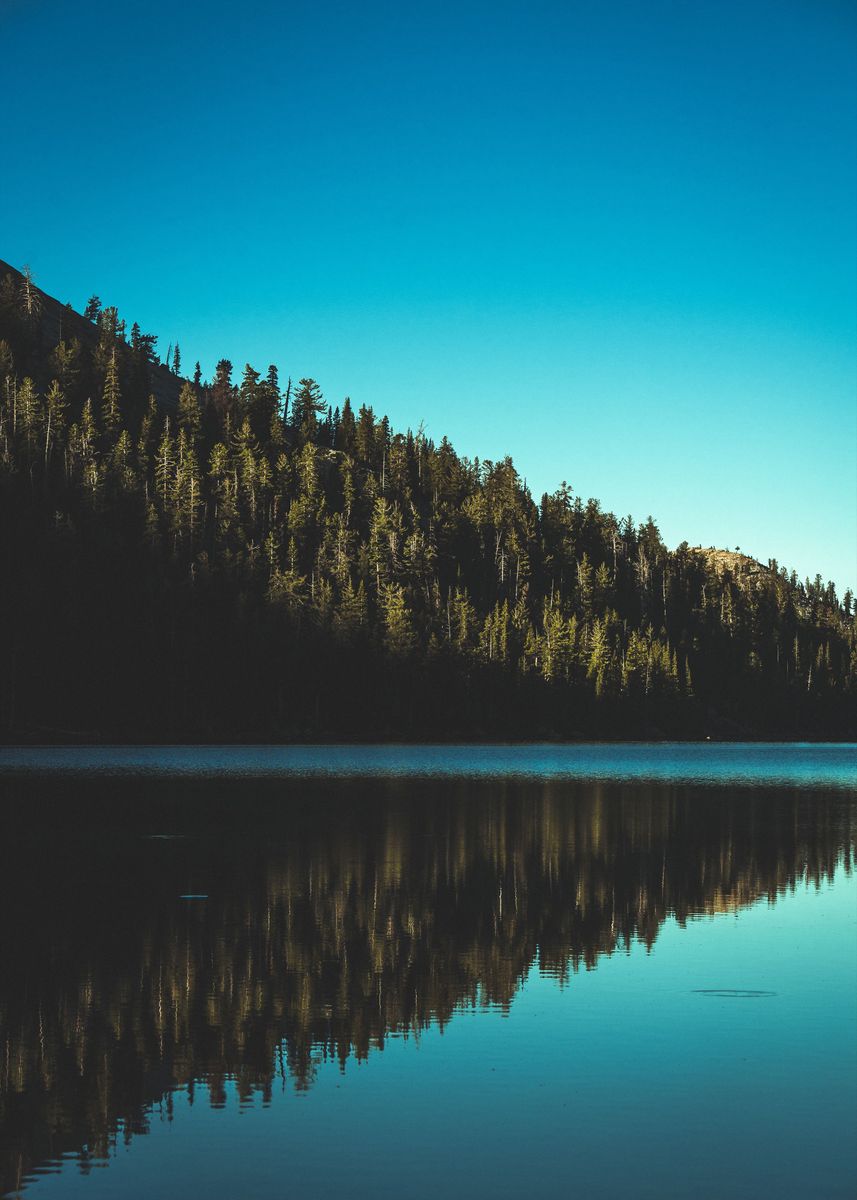 'Lakeside Reflection' Poster, picture, metal print, paint by Conceptual ...