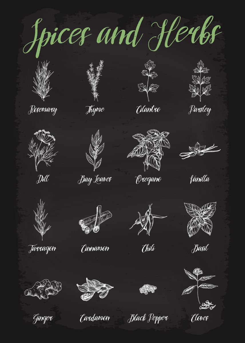 'Spices and Herbs Guide' Poster, picture, metal print, paint by ...
