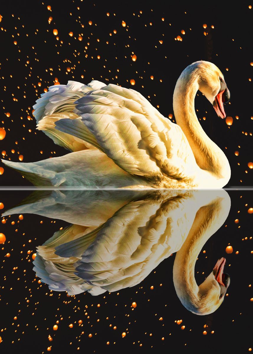'Swan Lake at Night' Poster, picture, metal print, paint by David ...