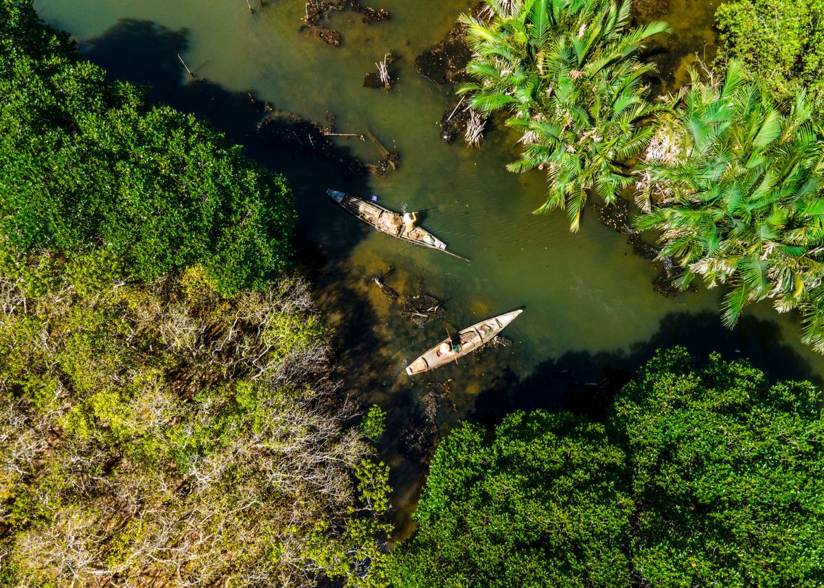 'Amazing mangroves scenery' Poster by Thanh Hoang Cong | Displate