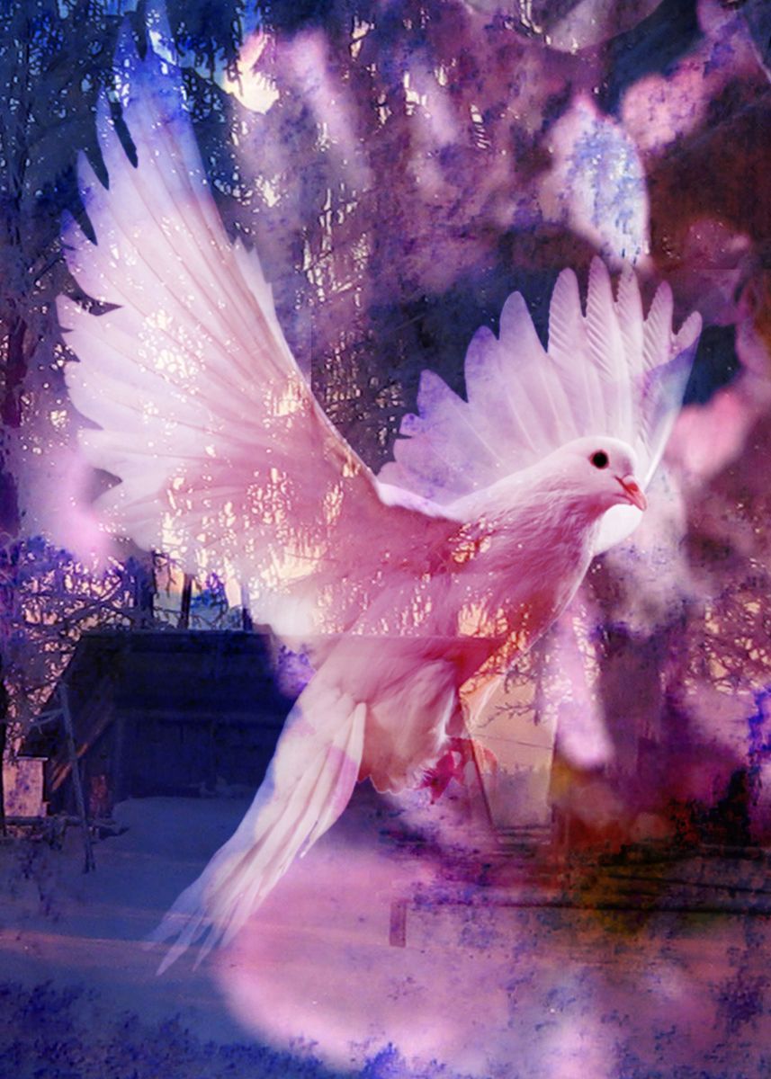 'Peace Fading' Poster, picture, metal print, paint by David Loblaw ...