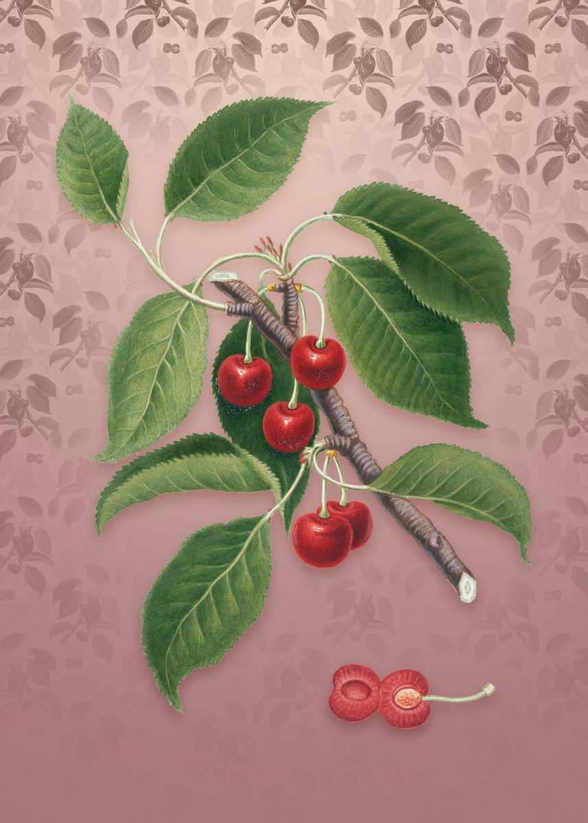 'Vintage Sour Cherry' Poster by Holy Rock Design | Displate
