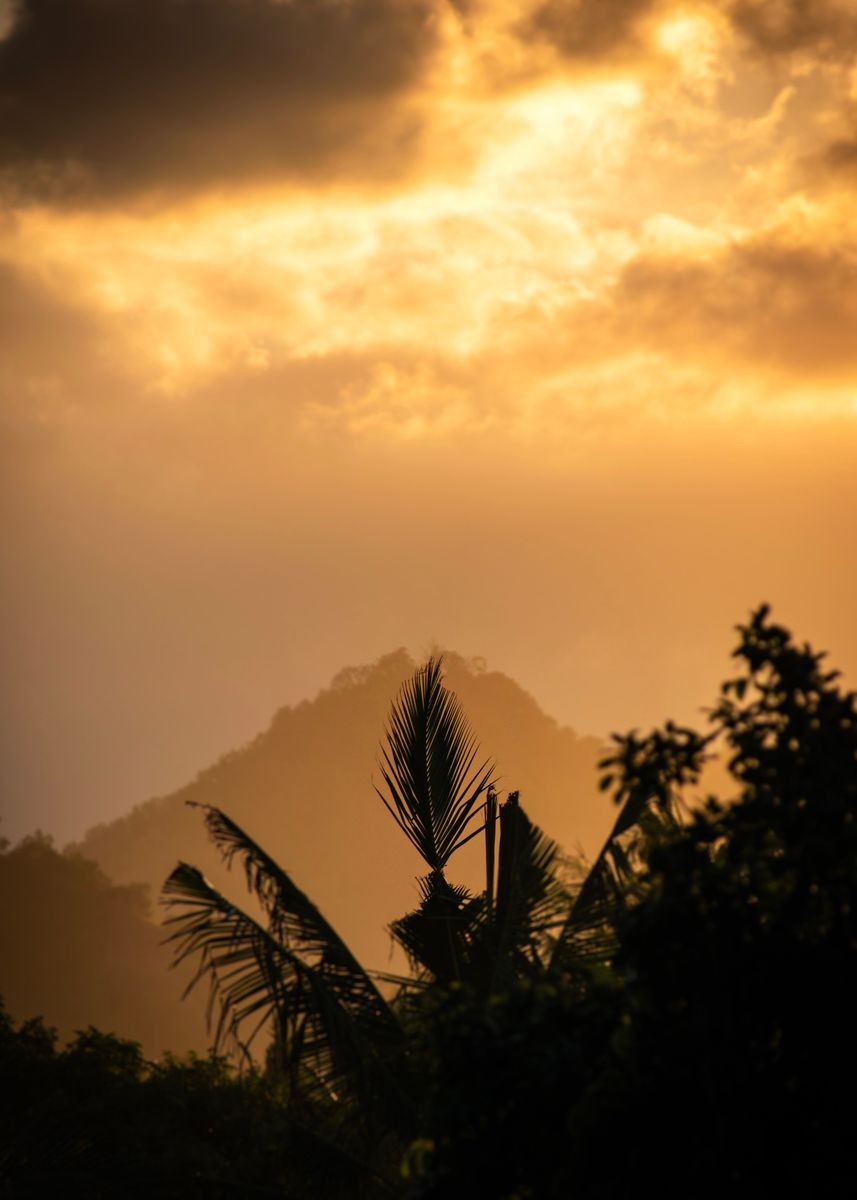 'Jungle Palms' Poster, picture, metal print, paint by Ryan | Displate