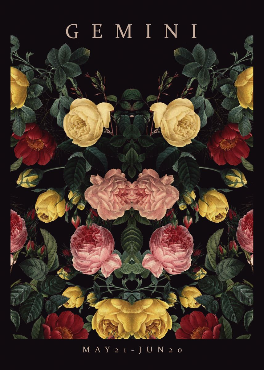 'GEMINI' Poster by burcu korkmazyurek | Displate