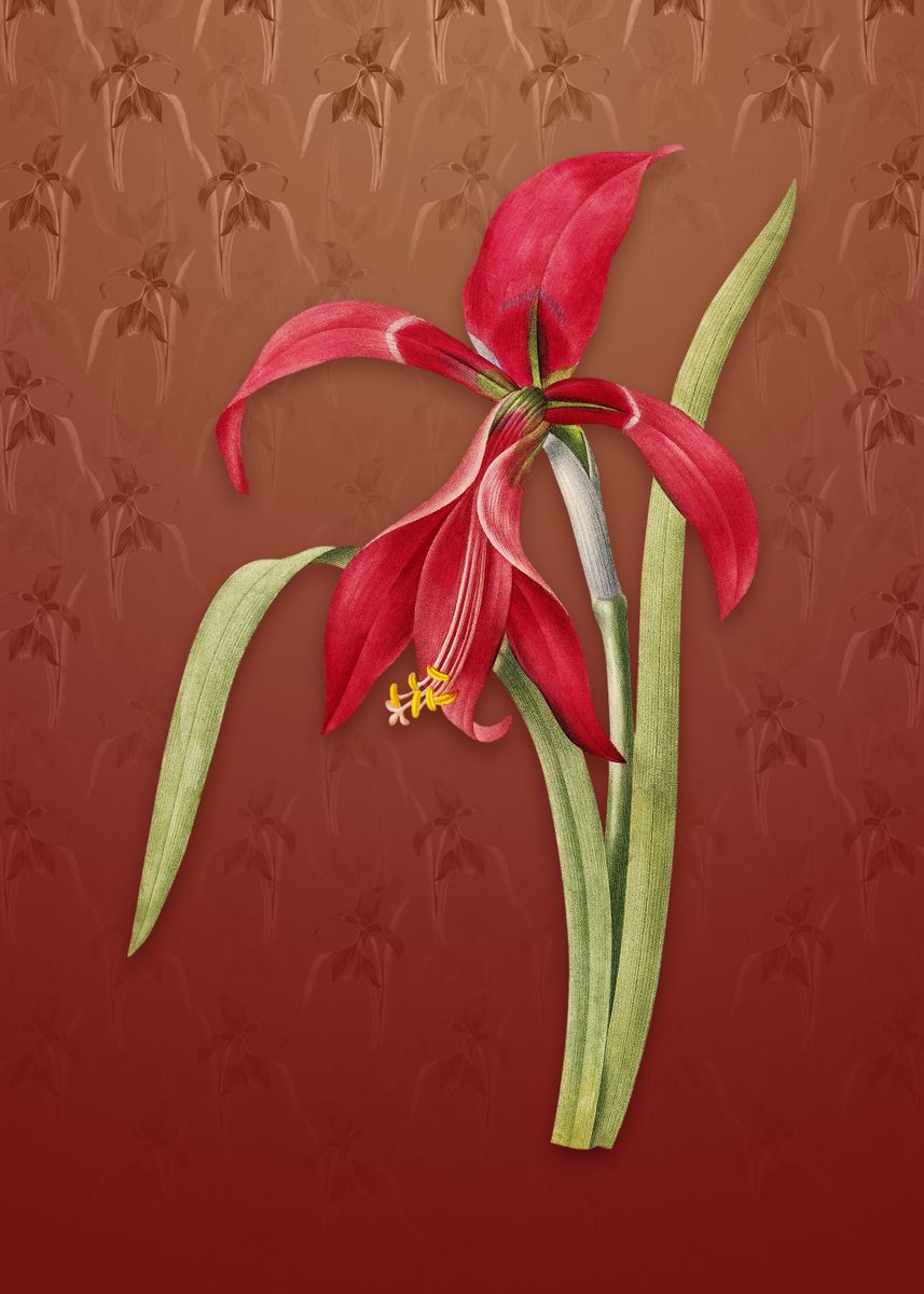 'Amaryllis on Falu Red' Poster, picture, metal print, paint by Holy ...