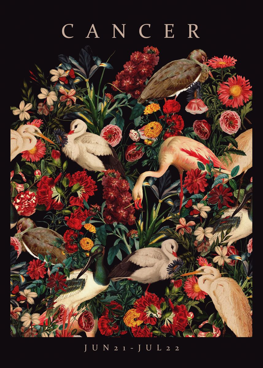 'CANCER' Poster by burcu korkmazyurek | Displate
