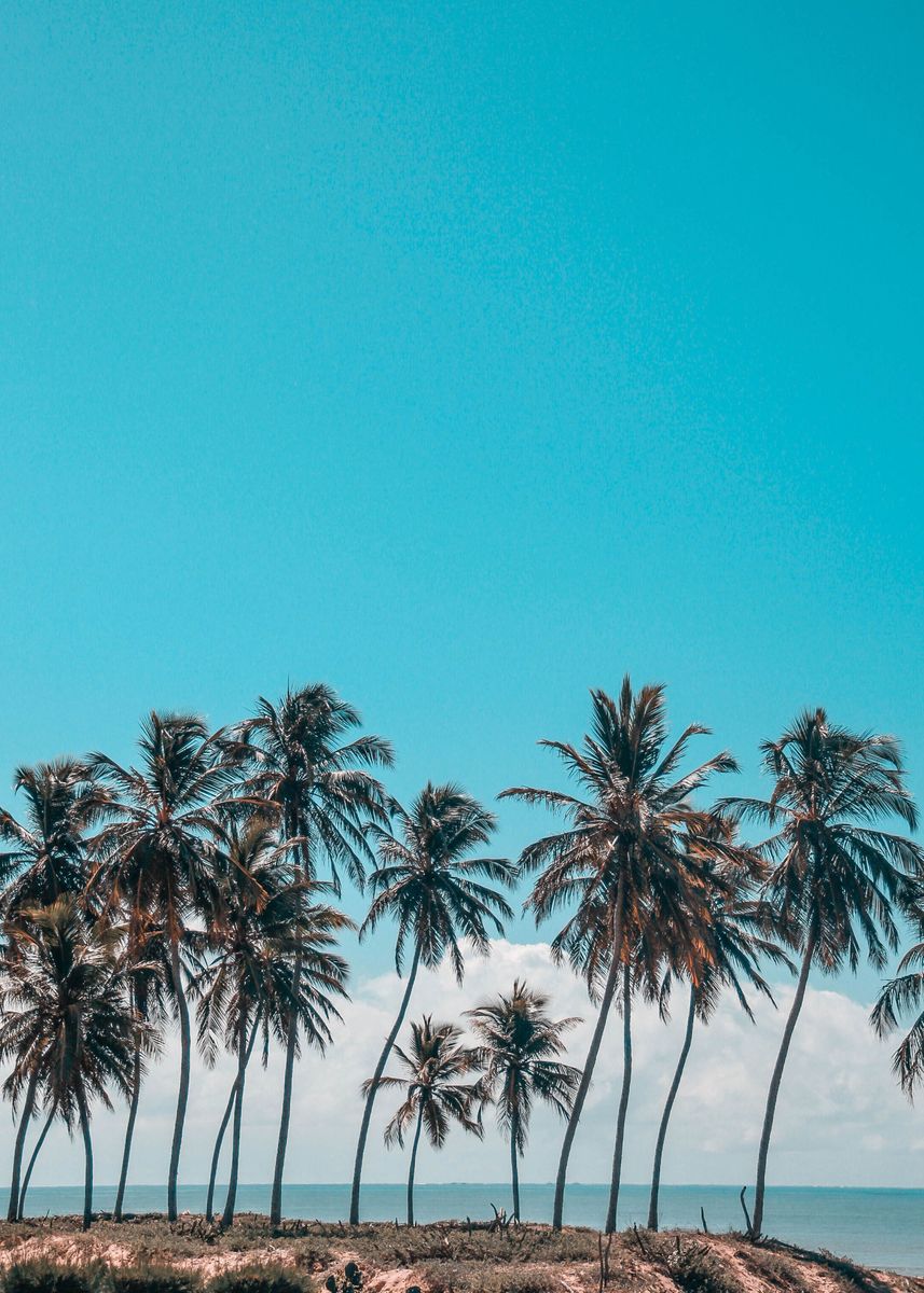 'Ocean' Poster, picture, metal print, paint by Rijis Art | Displate