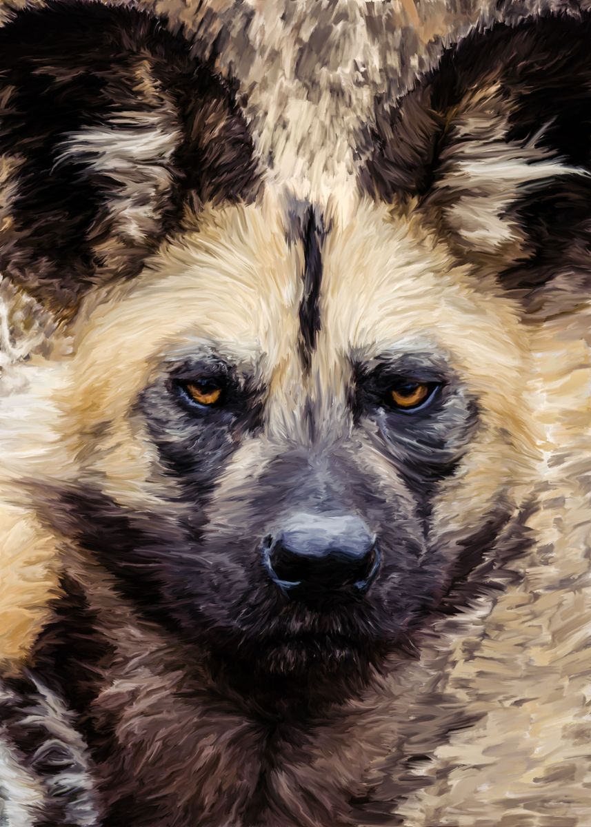 'Wild Dog' Poster, picture, metal print, paint by Ademba Boy | Displate