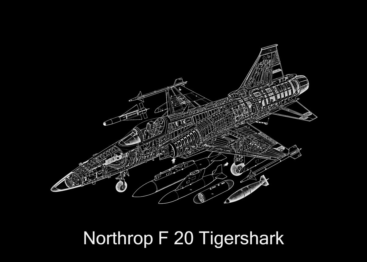 'Northrop F 20 Tigershark ' Poster by Spring Flower | Displate