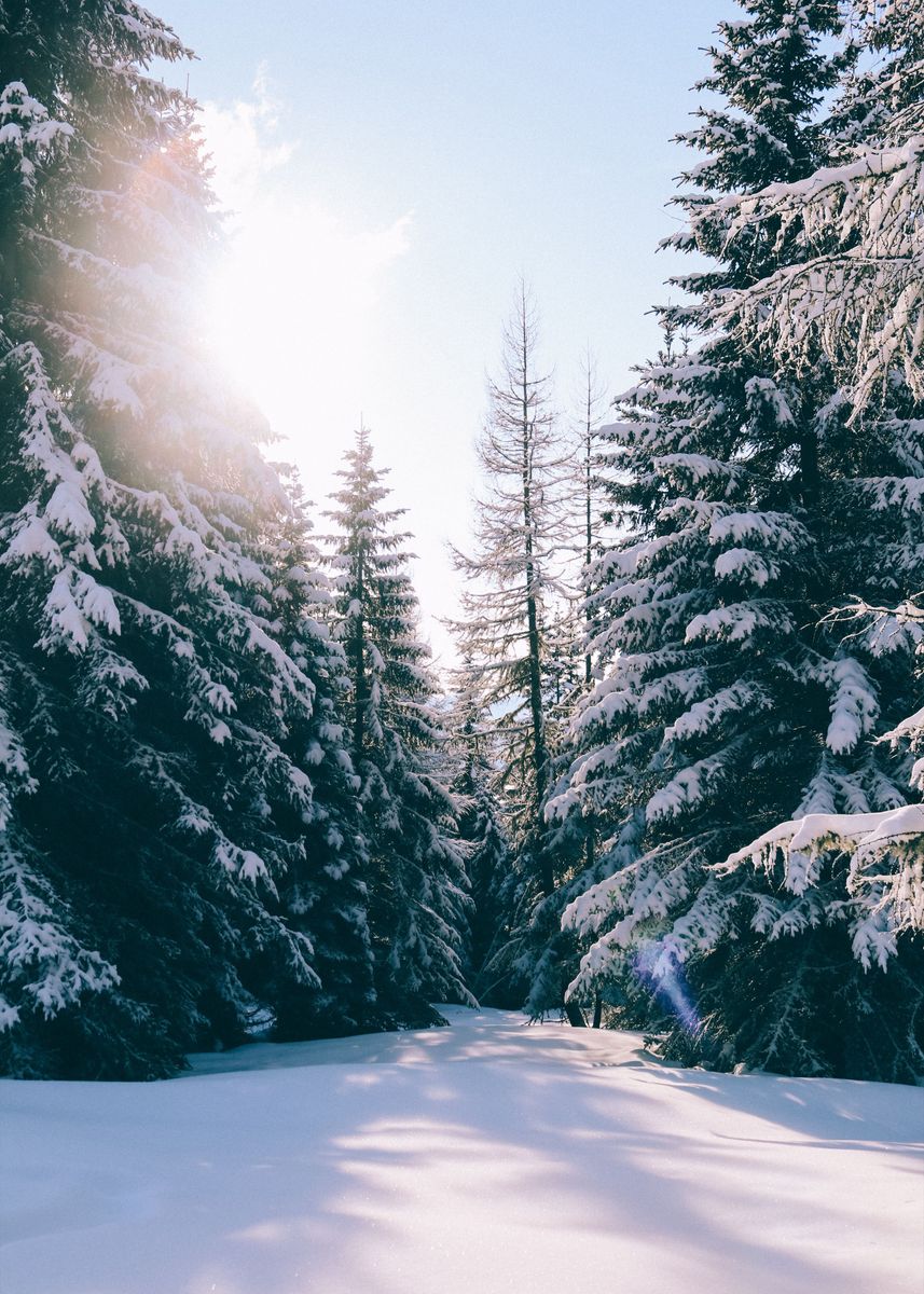 'Frozen Forest' Poster, picture, metal print, paint by Conceptual ...