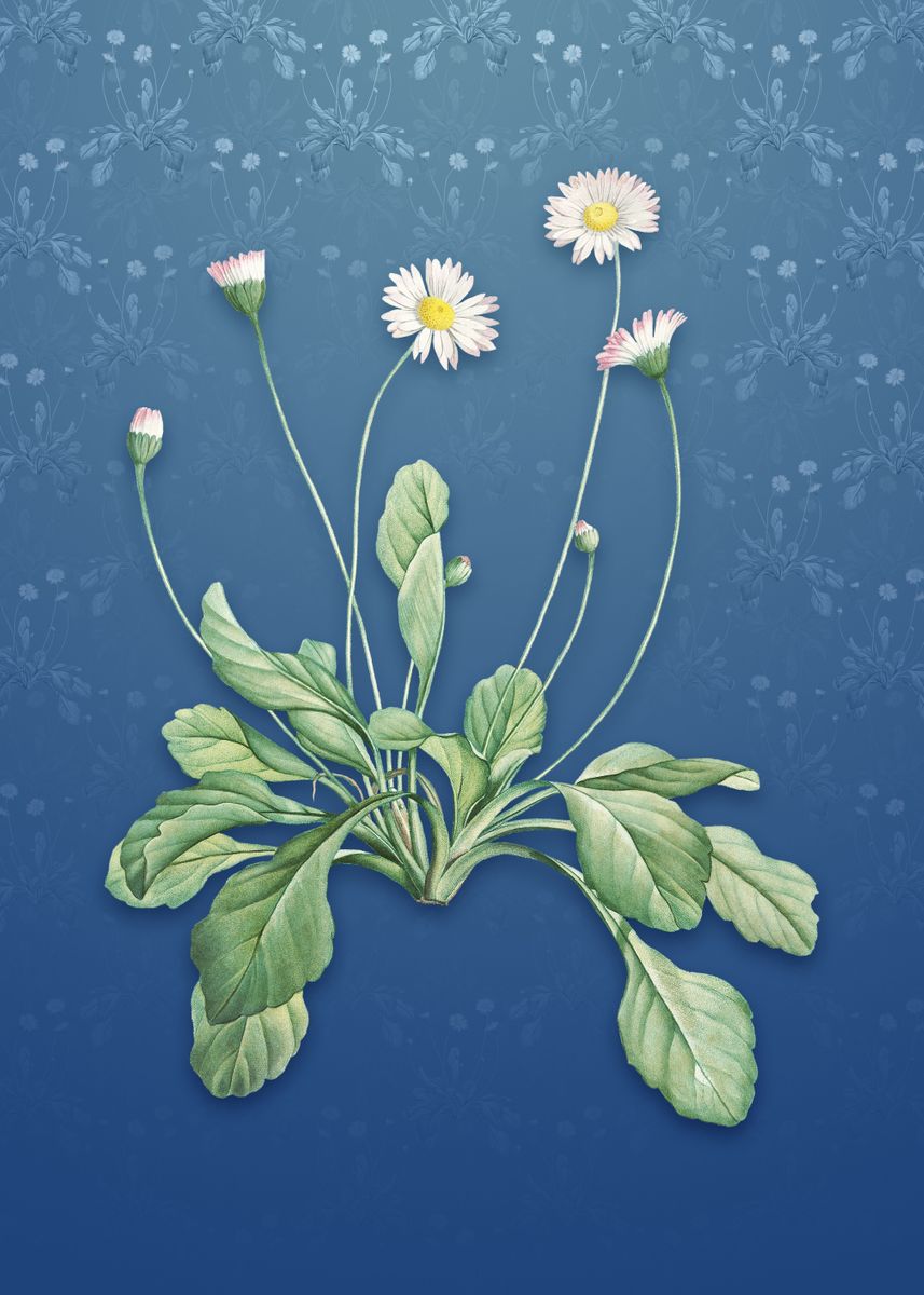 'Vintage Daisy Flowers' Poster, picture, metal print, paint by Holy ...