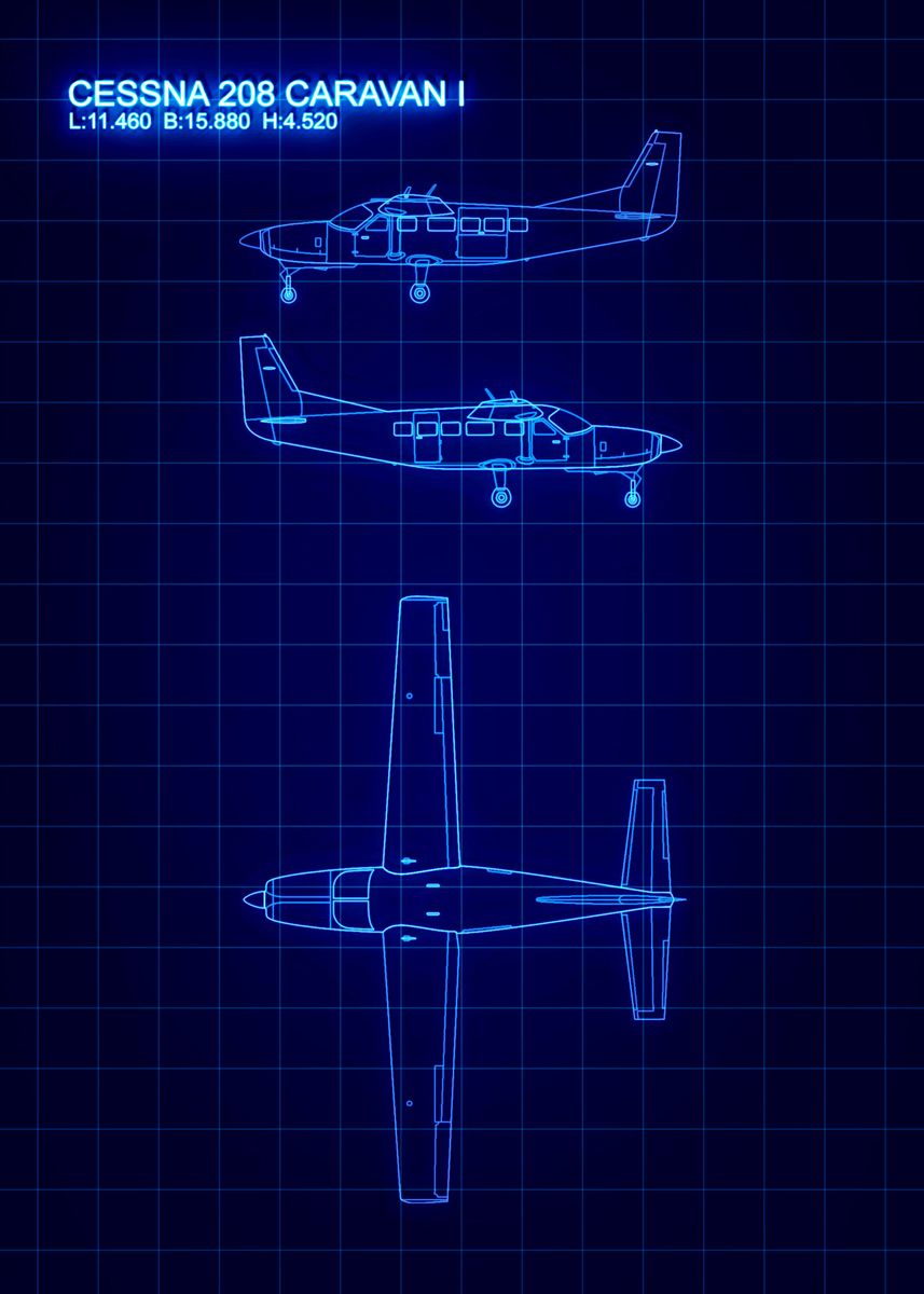 'CESSNA 208 CARAVAN I' Poster, picture, metal print, paint by Black ...