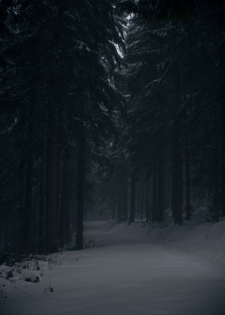 'Dark Winter' Poster, picture, metal print, paint by Conceptual ...