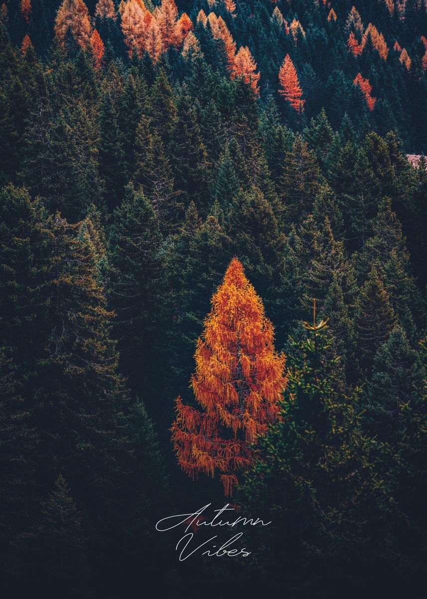 'Autumn Vibes ' Poster, picture, metal print, paint by Big City | Displate