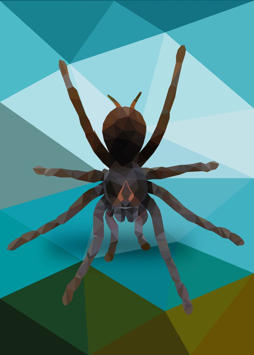 'Spider' Poster, picture, metal print, paint by toan nguyen | Displate