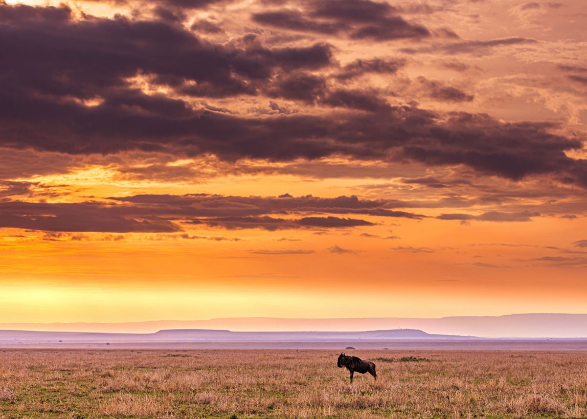 'grassland' Poster by MrNguyen HaTang | Displate