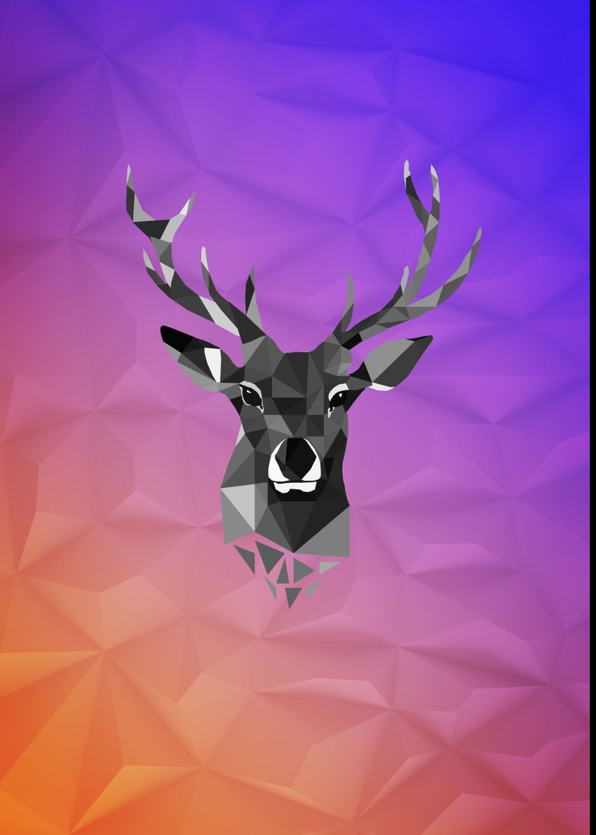 'Animal ' Poster, picture, metal print, paint by Poster Collections ...