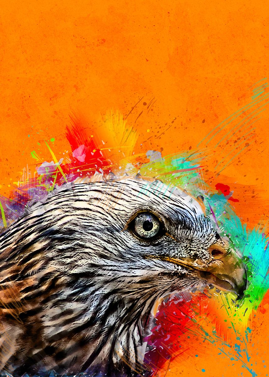'Falcon 60' Poster, picture, metal print, paint by TaTu Art | Displate