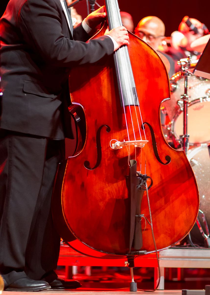 'Double Bass Player' Poster, picture, metal print, paint by Jukka Heinovirta | Displate