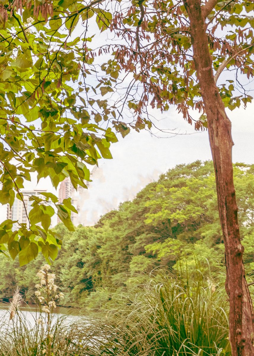 'nature side' Poster by Soft Brush | Displate