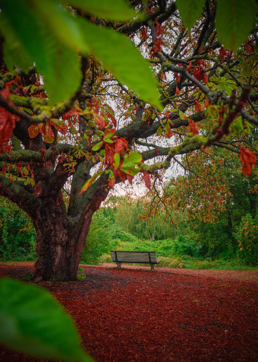 'Red Green Tree Bench' Poster, picture, metal print, paint by Mike ...