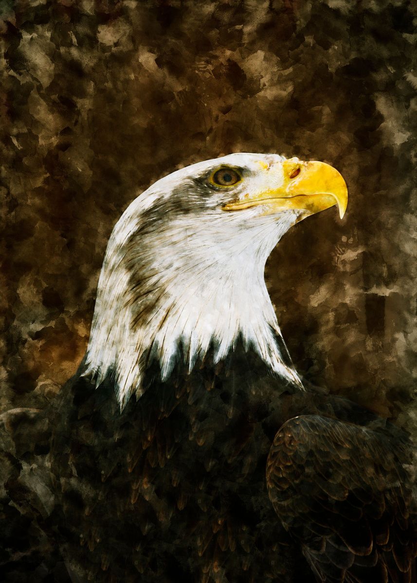'American Eagle' Poster, picture, metal print, paint by Frankie RT ...