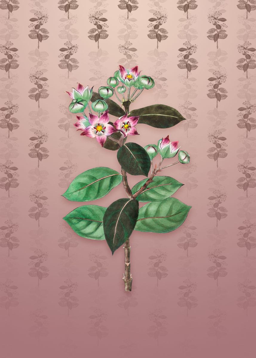 'Tall Calotropis Flower' Poster, picture, metal print, paint by Holy ...