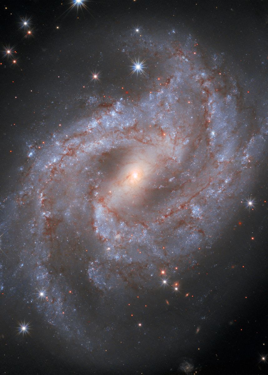 'NGC 2525' Poster, picture, metal print, paint by Galaxy Images | Displate