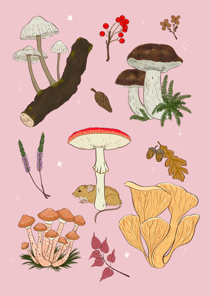 'Mushroom' Poster, picture, metal print, paint by Kamila Rybak | Displate