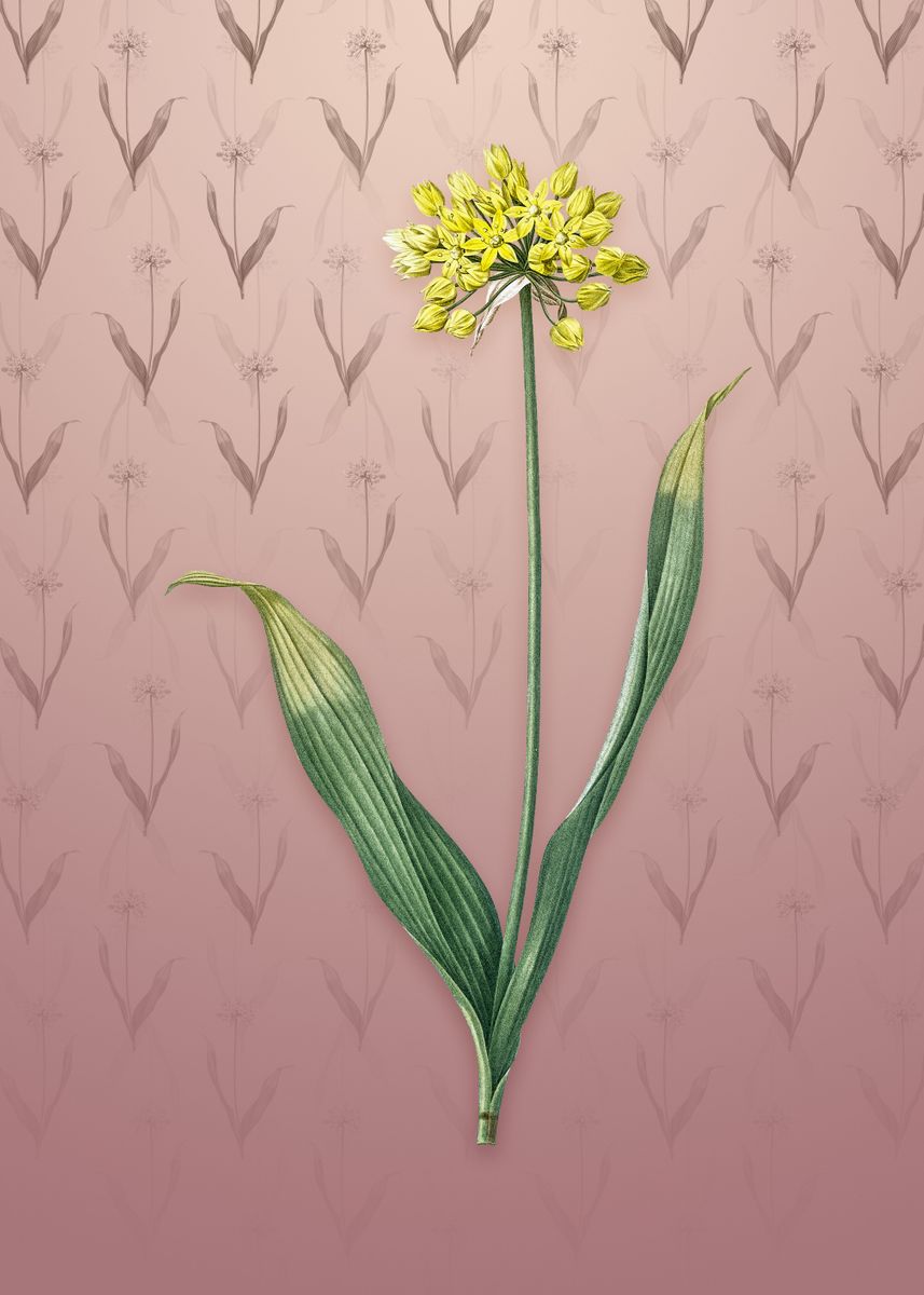 'Vintage Golden Garlic' Poster, picture, metal print, paint by Holy ...