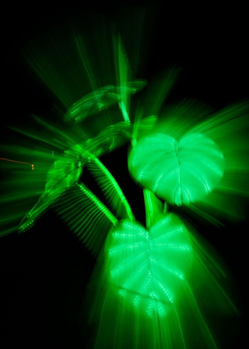 'Digital Plants' Poster by Gilliard Bressan | Displate