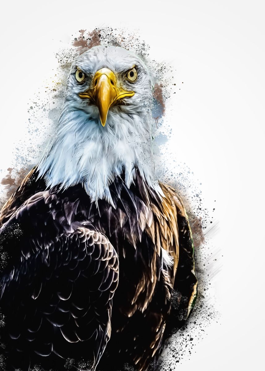 'American Bald Eagle' Poster, picture, metal print, paint by The ...