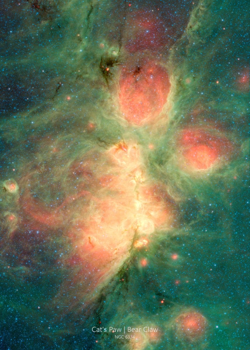 'Cats Paw Nebula' Poster, picture, metal print, paint by Galaxy Images ...