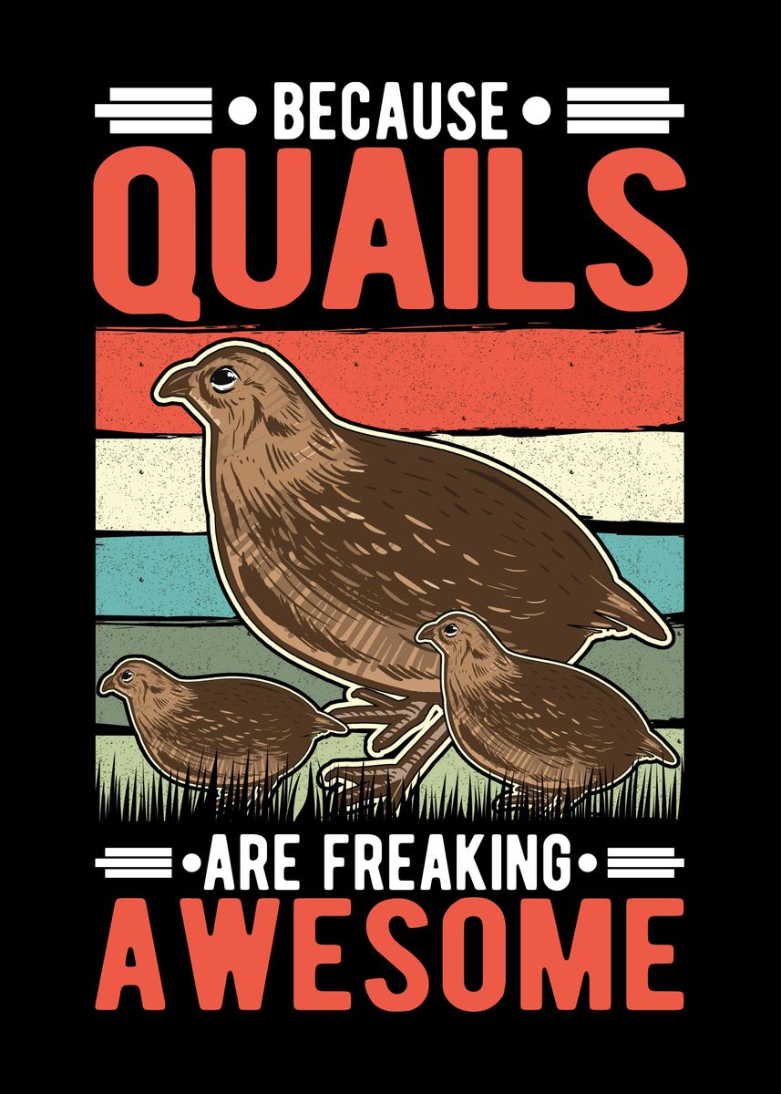'Quail Breeder Quail Gift' Poster, picture, metal print, paint by ...
