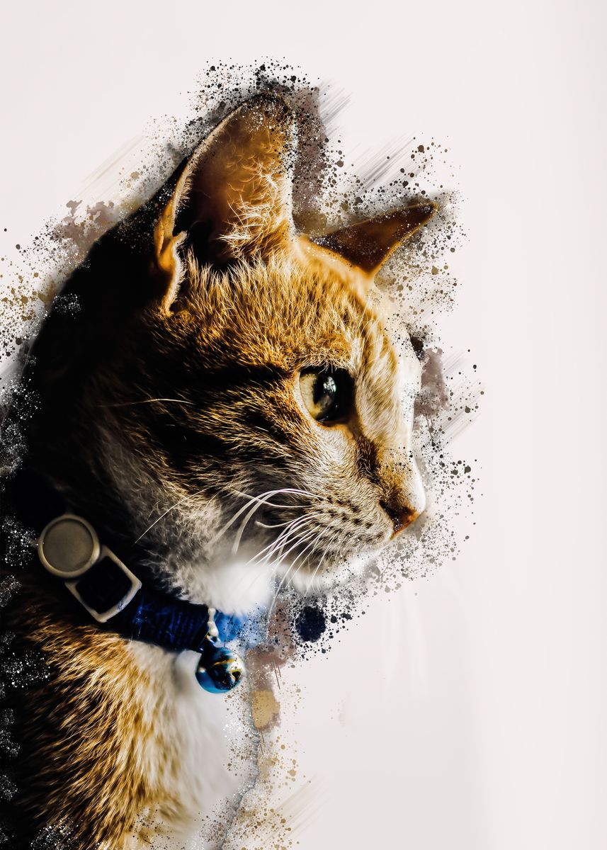 'Pet tabby ' Poster by The Flowers | Displate