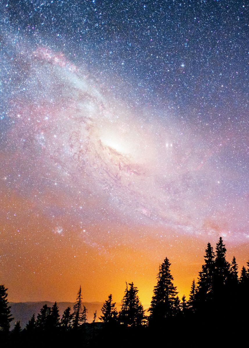 'Forrest with a Night Sky' Poster, picture, metal print, paint by ...