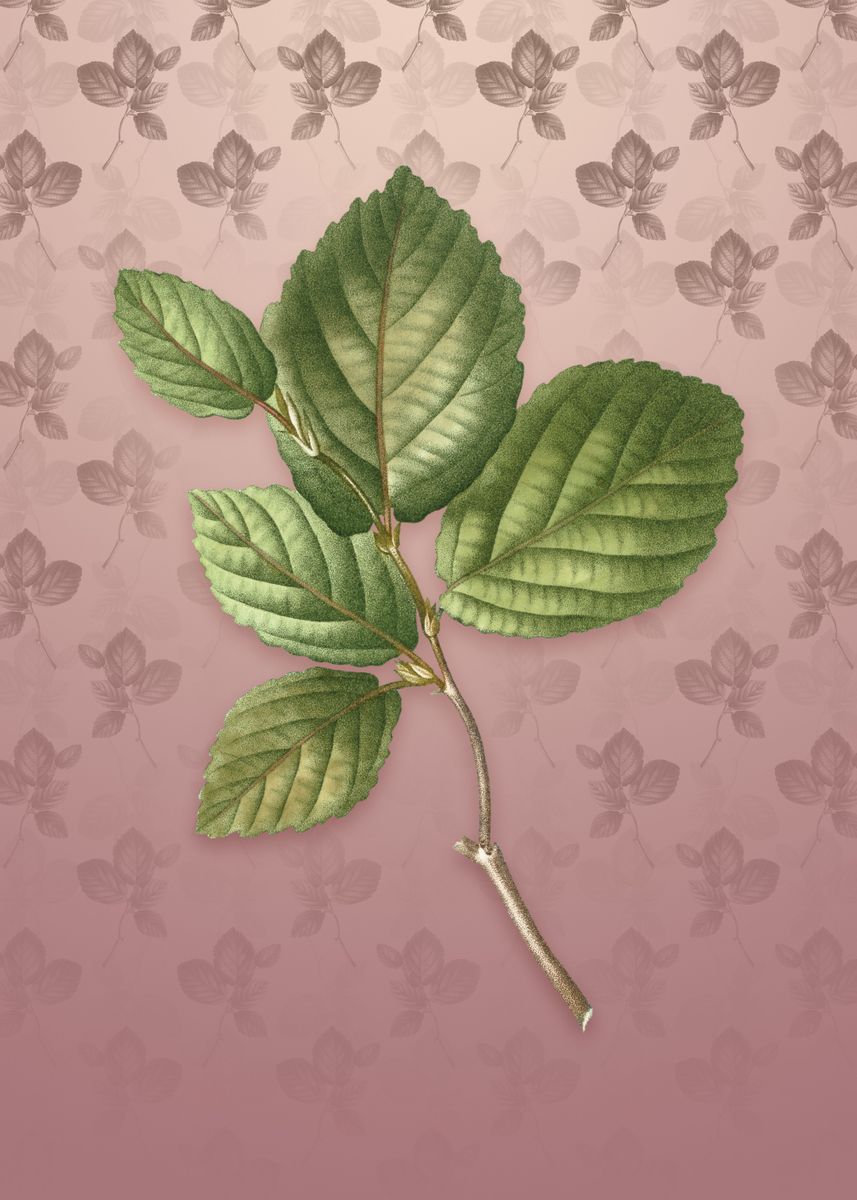'Vintage Witch Hazel' Poster, picture, metal print, paint by Holy Rock ...