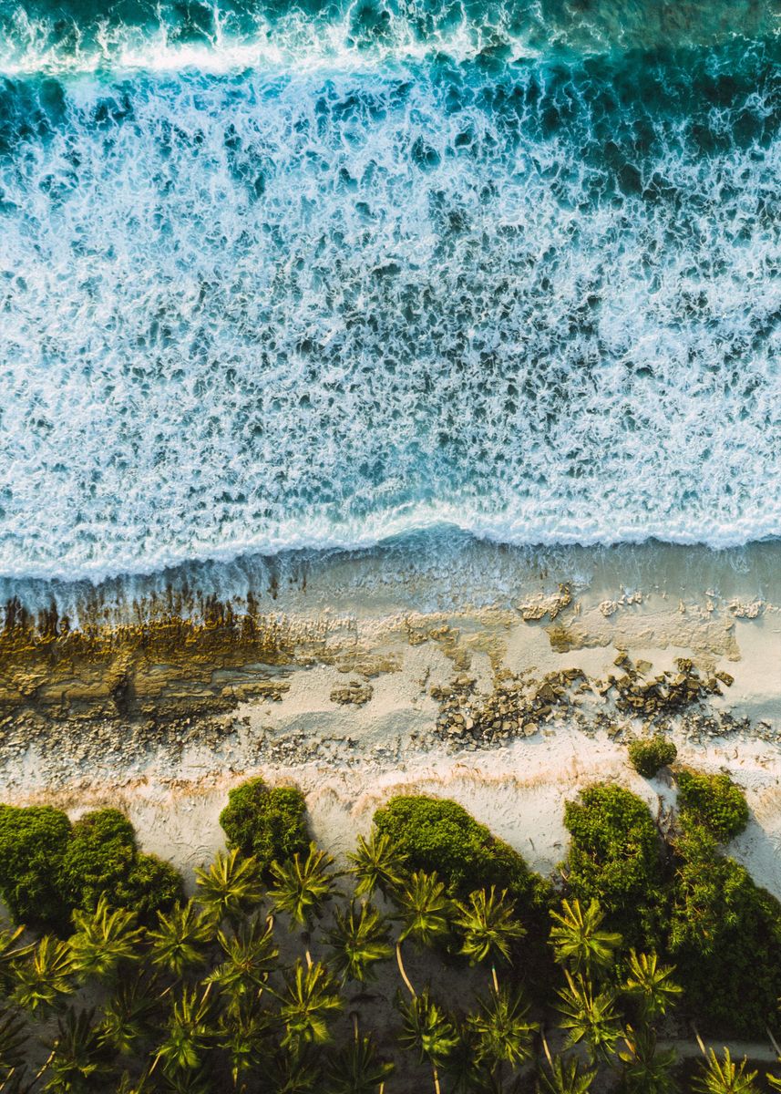 'Beach' Poster, picture, metal print, paint by Conceptual Photography ...