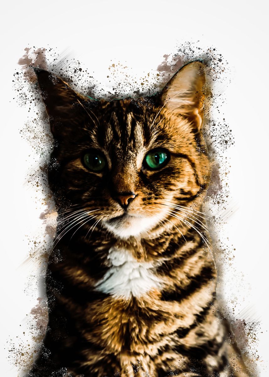 'Closeup portrait cat' Poster by The Flowers | Displate