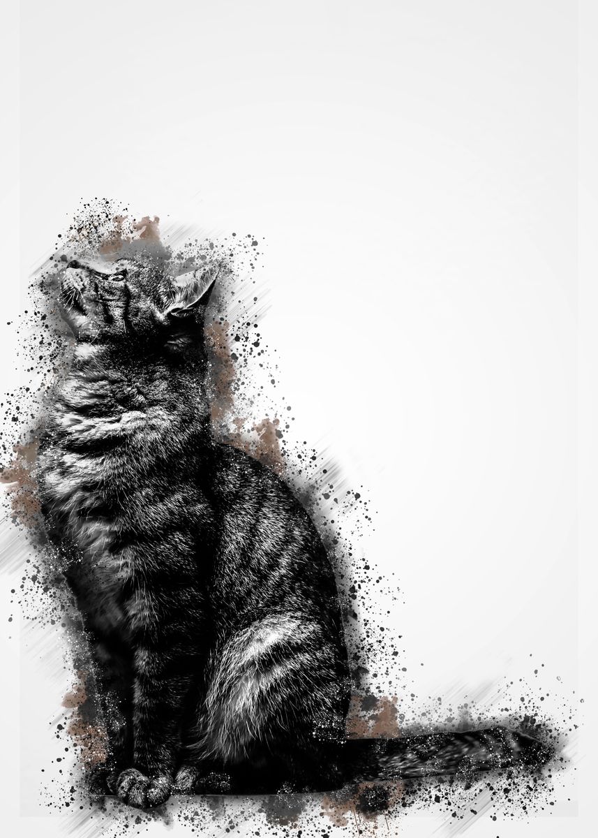 'Mixed breed cat sitting' Poster, picture, metal print, paint by The ...