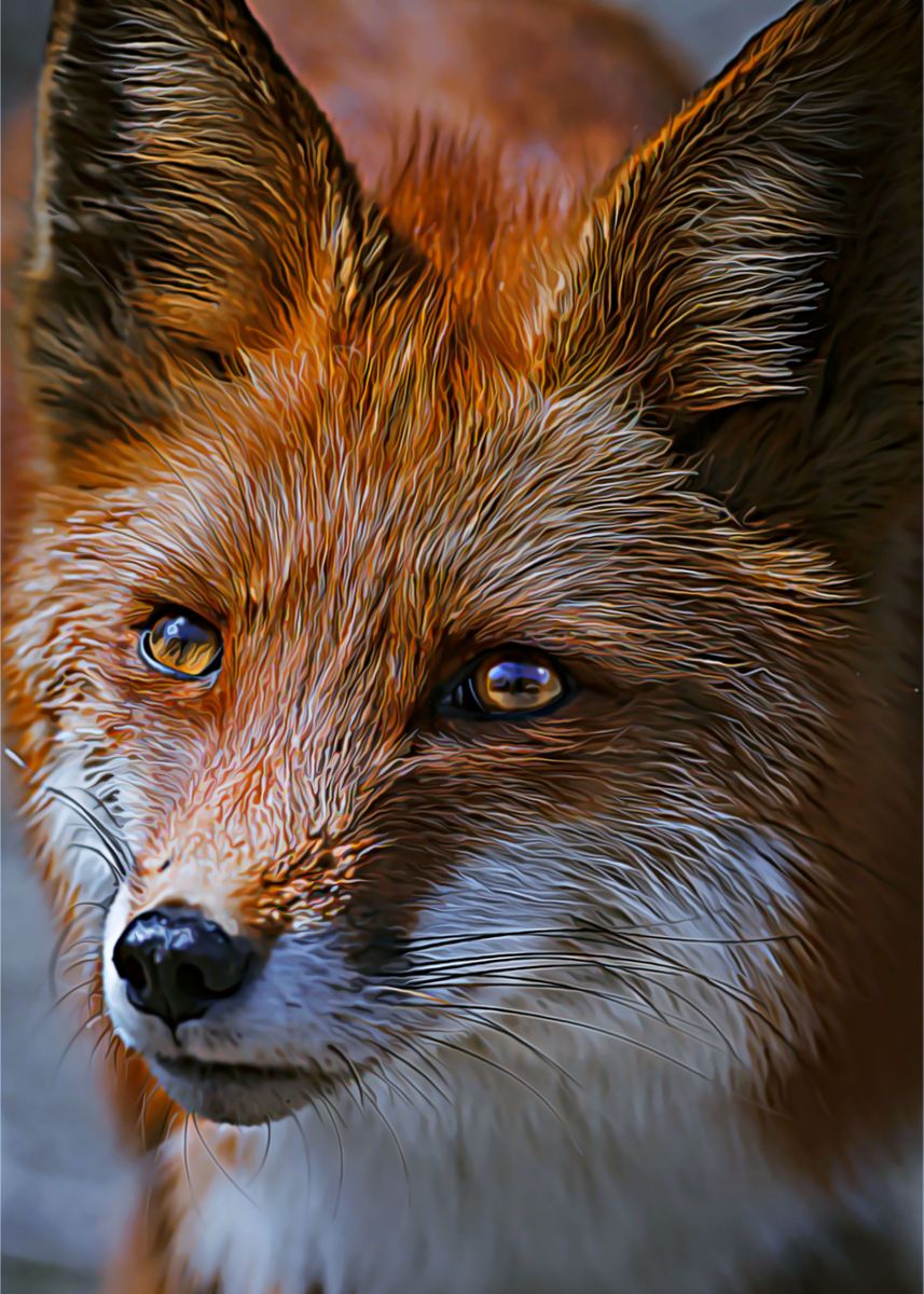 'Orange Fox Wallpaper' Poster, picture, metal print, paint by Griffin ...