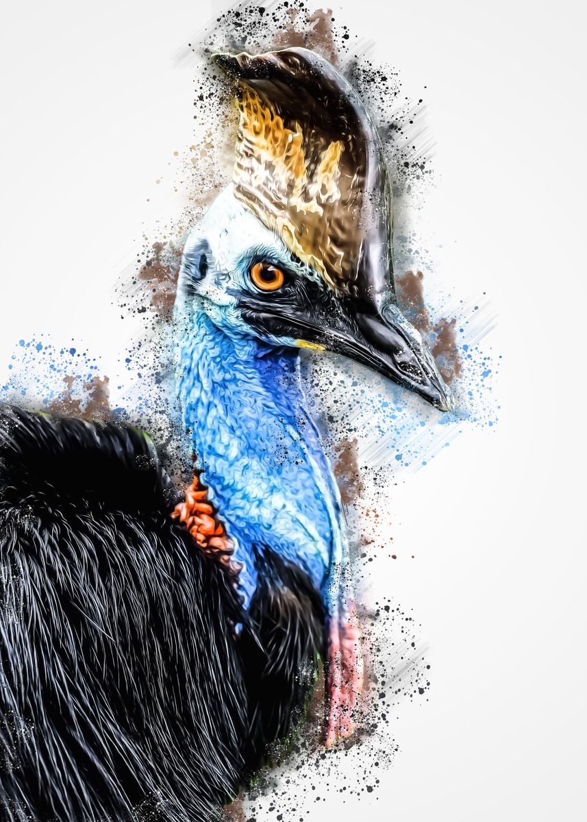 'Cassowary' Poster, picture, metal print, paint by The Flowers | Displate