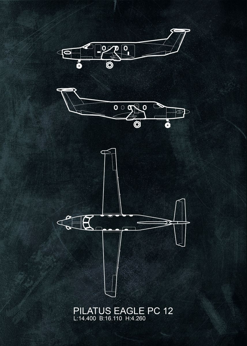 'PILATUS EAGLE PC 12' Poster, picture, metal print, paint by Audai ...